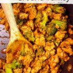 Firecracker Ground Turkey | Lite Cravings | WW Recipes