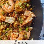 Lazy Fried Rice | Lite Cravings | WW Friendly Recipes
